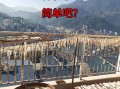怎样腌制萝卜干_萝卜干怎么保存