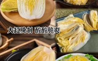 东北酸菜怎么腌制_家庭版酸菜做法