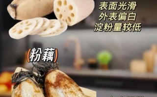 莲藕图片大全高清图片_莲藕怎么挑选最新鲜