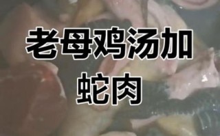 蛇肉炖鸡的功效_孕妇可以吃吗