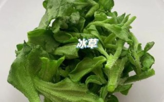 冰草用沙拉酱还是千岛酱_哪个更搭