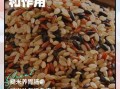 三色糙米和大米的区别_哪个更适合减肥