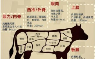 家庭牛排怎么做_家庭牛排用什么部位最好