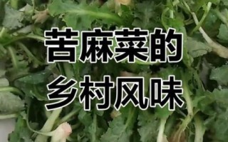 苦麻菜怎么做好吃_苦麻菜凉拌做法