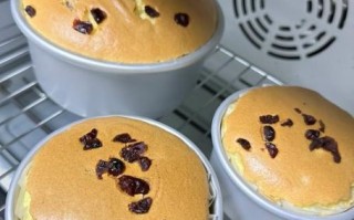 酸奶蛋糕怎么做_酸奶蛋糕的做法大全