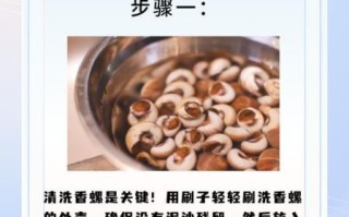 香辣海螺肉怎么做_香辣海螺肉正宗做法