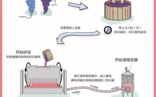 葡萄酒酿造全过程_葡萄酒是怎么酿造的
