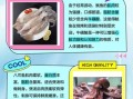 八爪鱼和鱿鱼的区别_怎么区分八爪鱼与鱿鱼