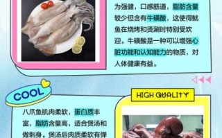 八爪鱼和鱿鱼的区别_怎么区分八爪鱼与鱿鱼