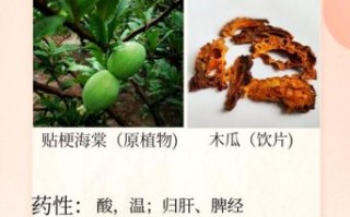 药用木瓜很硬怎么吃_怎么变软