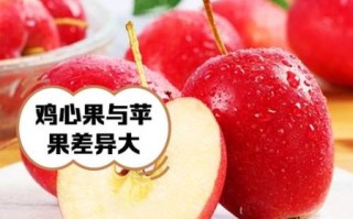 鸡心果是苹果吗_鸡心果和普通苹果的区别