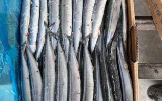 2021年秋刀鱼多少钱一斤_秋刀鱼价格为什么暴涨