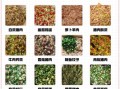 饺子馅怎么调才好吃_饺子馅做法步骤详解