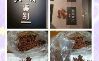 莽草和八角的区别_如何一眼识别真假八角