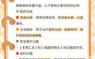 茜草的功效与作用_茜草主治什么病