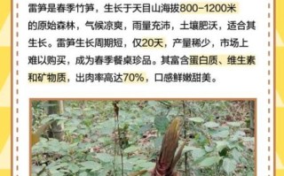 雷竹笋价格多少钱一斤_雷竹笋最新行情