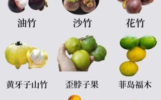 山竹产地有哪些地方_哪里的山竹最好吃