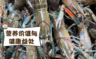 蓝龙虾多少钱一斤_蓝龙虾价格为什么这么贵