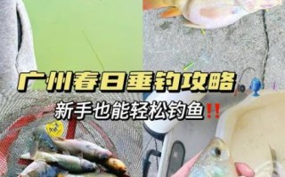 香鱼怎么钓_香鱼钓法技巧