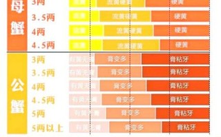阳澄湖大闸蟹开湖时间2021_何时上市