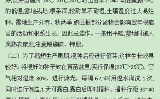 豌豆芽怎么种_豌豆芽种植方法