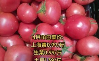 上海今日蔬菜价格表_上海菜价查询最新