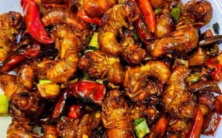 知了怎么吃有营养_知了怎么吃最健康