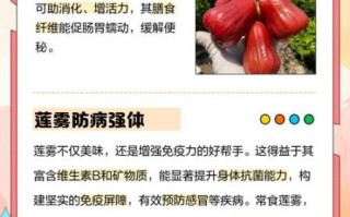 莲雾怎么吃_莲雾的营养价值有哪些