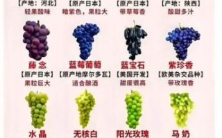 一天吃多少颗葡萄合适_葡萄一天吃几颗不会胖