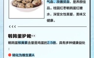 鹌鹑蛋的营养价值_鹌鹑蛋的功效与作用