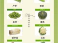 蔬菜大全名字有哪些_常见蔬菜名称大全