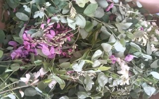 紫槐花怎么做好吃_紫槐花做法大全