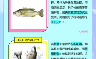 鲈鱼和桂鱼哪个贵_价格差异背后的真相
