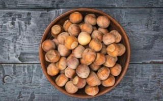 榛子树几年结果_如何种植榛子树