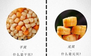 元贝和干贝的区别_哪个更贵更好吃