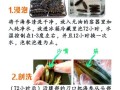海参怎么泡发最简单_海参最简单的家常做法