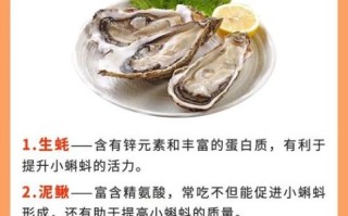 男人备孕吃什么提高精子质量_男人备孕吃什么提高精子质量