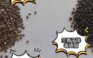 兰香子不能和什么一起吃_兰香子禁忌人群有哪些