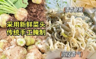 炒大头菜丝怎么炒好吃_大头菜丝家常做法大全