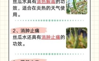 丝瓜水原液的功效与作用_丝瓜水原液怎么用