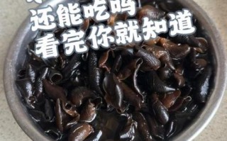 熟木耳放冰箱第二天可以吃吗_熟木耳隔夜保存方法