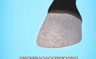 马蹄子结构图解_马蹄铁怎么钉