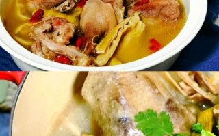 老鸭煲怎么做好吃_老鸭煲的做法大全家常