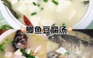 鲫鱼炖豆腐汤怎么做_鲫鱼炖豆腐汤的功效