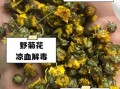 野菊花茶的功效与作用_野菊花茶怎么泡才正确
