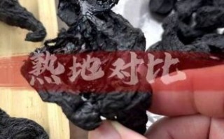 生地熟地区别_生地熟地哪个更好