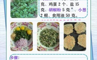 马齿菜怎么吃最好_马齿菜怎么吃最有营养
