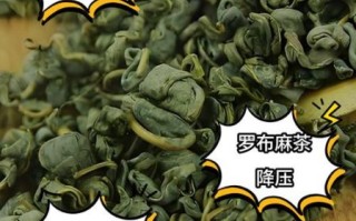 罗布麻能治高血压吗_罗布麻茶降血压效果怎么样