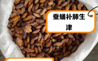 蚕蛹能抗肿瘤吗_蚕蛹抗癌是真的吗