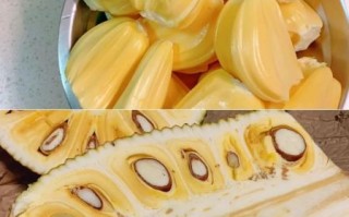 菠萝蜜怎么剥_菠萝蜜剥法视频教程